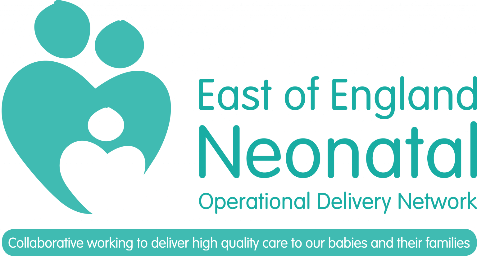 Heated Humidified High Flow Therapy (HHHFT) in Children & Young People ...